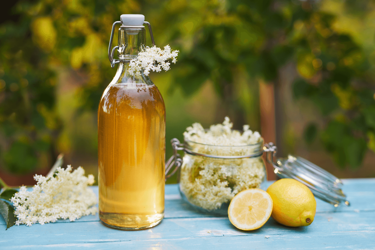 Bezový sirup bez vaření | Lehké a chutné recepty | Vyprodejpovleceni.cz